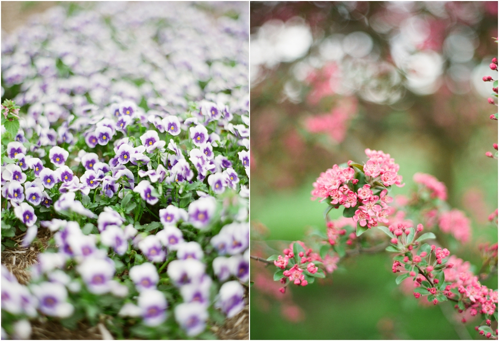 Spring in Kentucky :: Kentucky Nature Photographer » Nina Mullins
