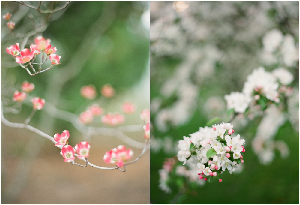Spring in Kentucky :: Kentucky Nature Photographer » Nina Mullins