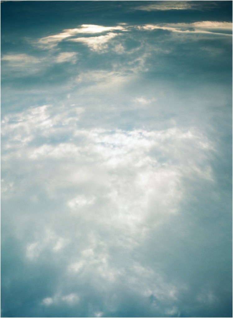 Spring in Kentucky :: Kentucky Nature Photographer » Nina Mullins