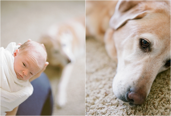 Baby Max :: Cincinnati Newborn Photographer